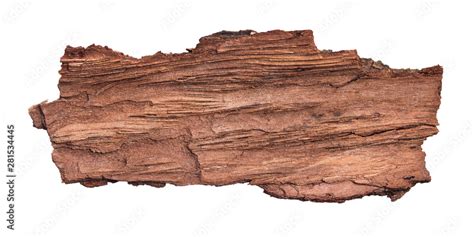 Photography Poster Large Piece Of Bark Inside Isolated White Background