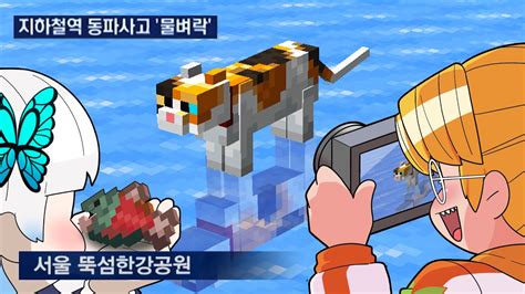 꽁꽁 얼어붙은 한강 위로 고양이가 걸어다닙니다 Youtube