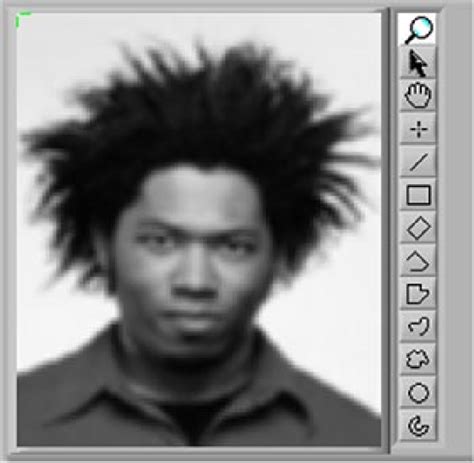 the convolution program demonstrating blurring techniques [color download scientific diagram