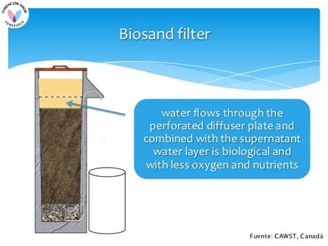The Biosand Filter