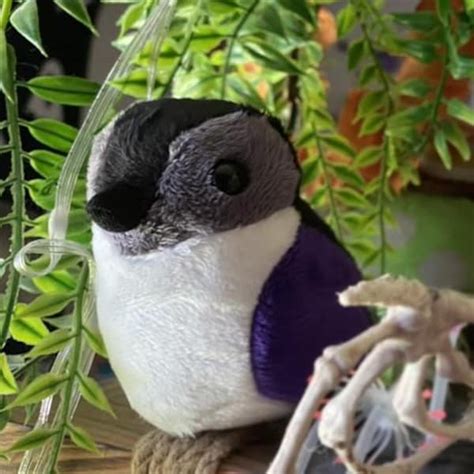 Asexualdemisexual Pride Plush Bird Etsy