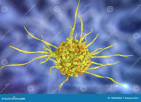 Dendritic Cell Antigen Presenting Immune Cell Stock Illustration