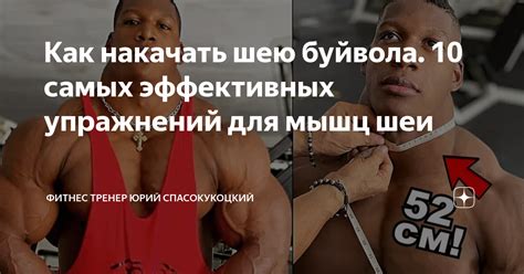 Как накачать шею буйвола 10 самых эффективных упражнений для мышц шеи Фитнес тренер Юрий