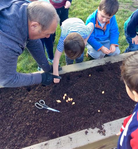 Arcadia Nursery At Easter Arcadia Nursery At Easter Bush