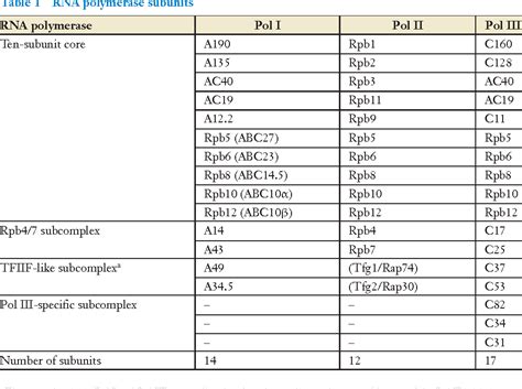 Table 2 From Structure Of Eukaryotic Rna Polymerases Semantic Scholar