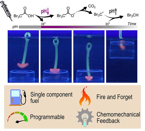 Autonomous Soft Robots Empowered By Chemical Reaction Networks