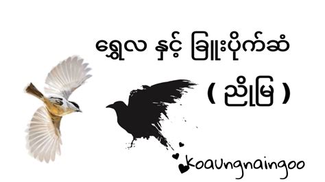 Ko Aung Naing Oo ရွှေလ နှင့် ခြူးပိုက်ဆံ