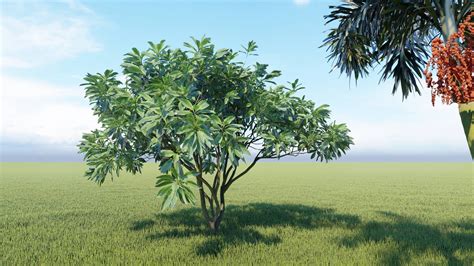 Hd Tree For Lumion 9 For Member Lumion 3d Indonesia Facebook