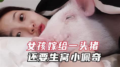 女人嫁给了一头猪，还要生窝小猪仔 Youtube