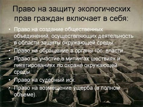 Экологические права и правонарушения презентация онлайн