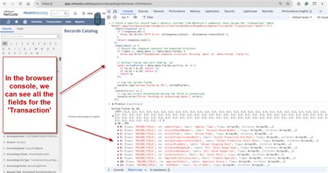 Gaining Programmatic Access To All Of Netsuites Tables And Fields