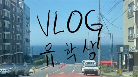 🇰🇷제주대학교 중국유학생vlog 수업 없는 날~ Youtube