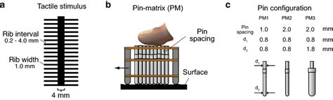 Geometric Profile Of Tactile Stimuli Used In Psychological Experiments