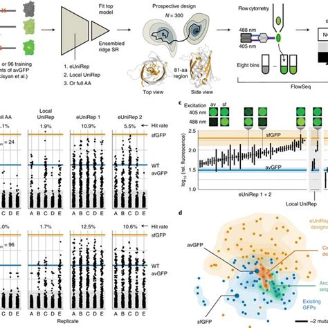 Unirep Guided In Silico Directed Evolution For Low N Protein