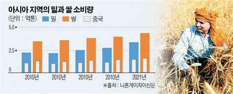 아시아 밀가루 소비 패턴 변화와 시장 전망 Genspark 아시아 밀가루 소비 패턴 변화와 시장 전망 Genspark