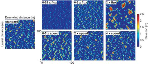 Nebkha Dune Formation Under Varying Sediment Flux Top And Speed
