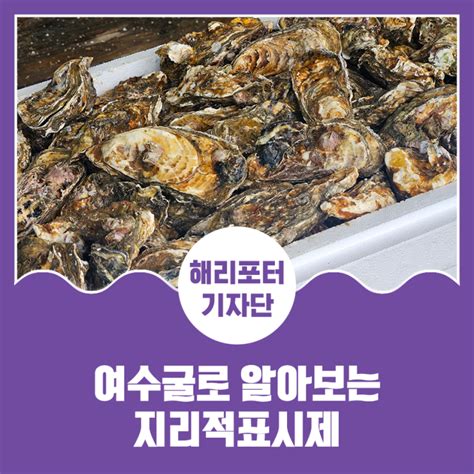 여수굴로 알아보는 지리적표시제 네이버 블로그