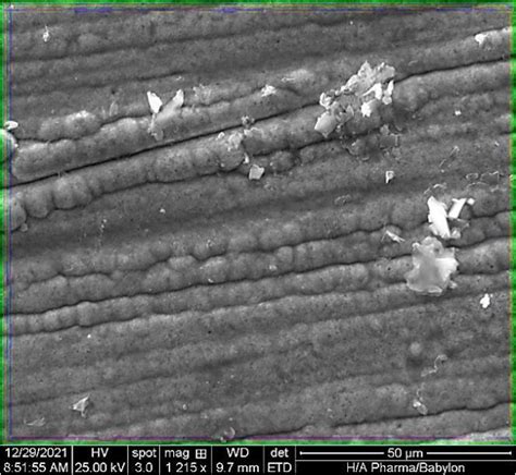 Sem Image Of Sample B Shows The Chromium Mwcnts Co Deposit Download Scientific Diagram