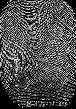 python指纹识别算法亲测代码可用 python fingerprint CSDN博客