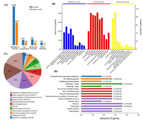Functional Enrichment Of The 114 Commonly Upregulated Mrnas Among