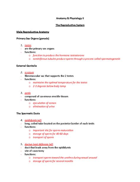 Lab Reproduction Lab Work Anatomy Physiology II The Reproductive System Male Studocu