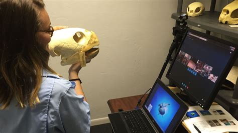 Flatback Sea Turtle Conservancy