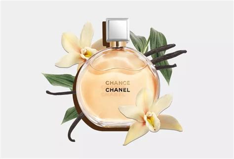 Best Mild Long Lasting Perfume For Ladies At Hunter Wang Blog