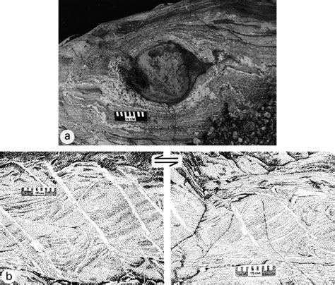 Sense Of Shear Indicators In A Leucosome Rich Shear Zone A Rotated Download Scientific