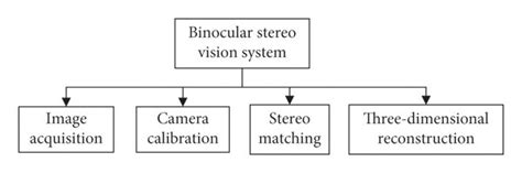 Functional Modules Of The Binocular Stereo Vision System Download Scientific Diagram