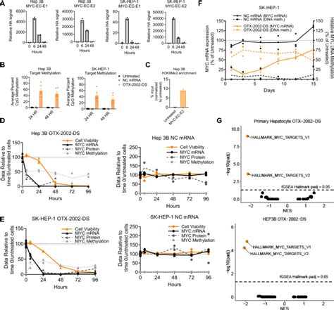 Targeted Transcriptional Downregulation Of Myc Using Epigenomic