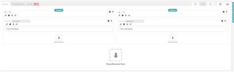 Forms Fields Are Not Displaying Correctly Minti Themes