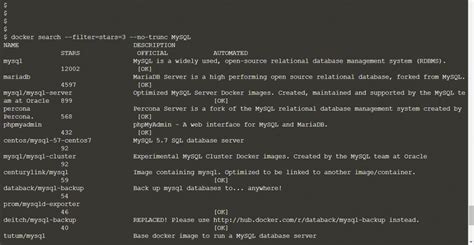Top Docker Commands With Examples InterviewBit