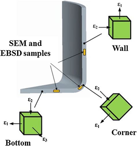 Diagram Of Sampling From The Cylindrical Part Download Scientific Diagram