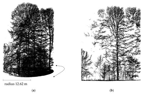 a leaf off mls point cloud of sample plot 2 the dotted line with download scientific diagram