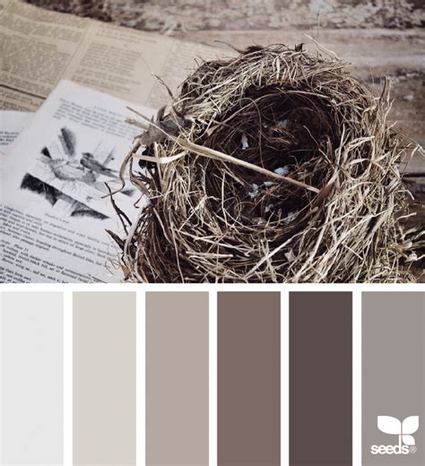 Nested Tones Color Palette For Home Colour Pallette Colour Schemes Nested Tones Color Palette For Home Colour Pallette Colour Schemes