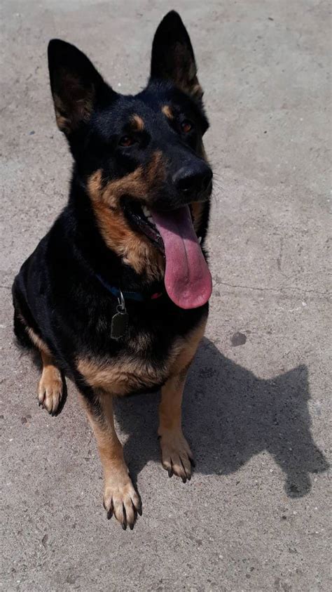 Nefari By Ivanlopez7531 On Deviantart