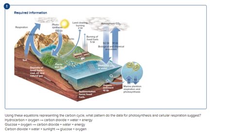 Solved I Need The Answer To The Following Questions Please Chegg