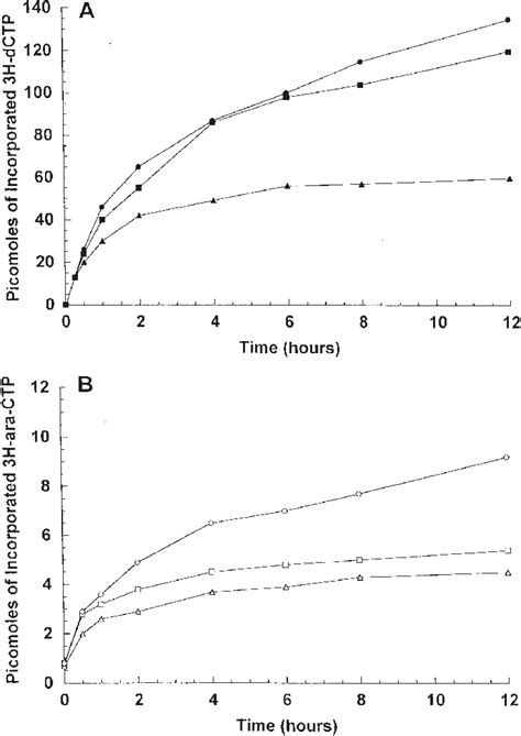 A B The E Ect Of [ 3 H]ara Ctp On The Activity Of Dna Polymerase Download Scientific Diagram