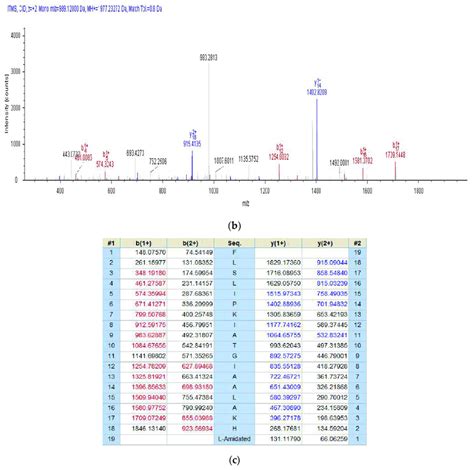 A Reverse Phase High Performance Liquid Chromatography Hplc Download Scientific Diagram