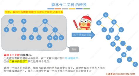 2024数据结构考研笔记（王道精讲课 天勤高分笔记） 天勤数据结构pdf2024 csdn博客