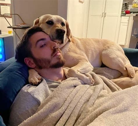 퇴근하고 피곤해 소파에 누워 쉬고 있는 집사에게 자기랑 언제 놀아줄거냐 물어보는 댕댕이