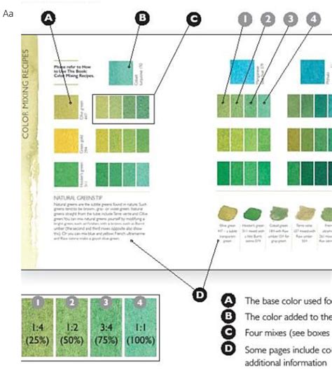 Color Scheme Map With Instructions