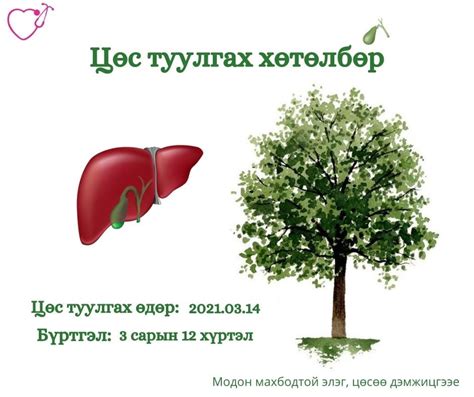 ЦӨС ТУУЛГАХ ХӨТӨЛБӨР Цөс туулгах нь Dr Enkhtsetseg B