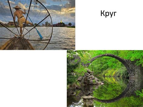 Композиция кадра в фотографии Online Presentation