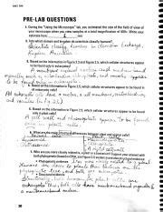 Understanding The Basics Of Data Analysis Course Hero