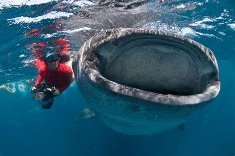 Introducing Padi Ambassadiver Lesley Rochat