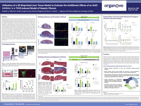 Utilization Of A 3d Bioprinted Liver Tissue Model To Evaluate The