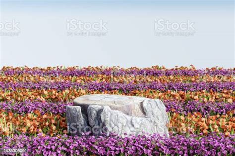 3d 렌더링 플랫폼과 제품 스탠드 디스플레이 광고 화장품 뷰티 제품 또는 빈 라운드 스테이지와 스킨 케어에 대한 푸른 하늘과