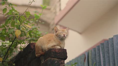 Eponervideo Videos Download The Best Free 4k Stock Video Footage