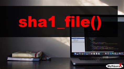 PHP Sha File WayToLearnX